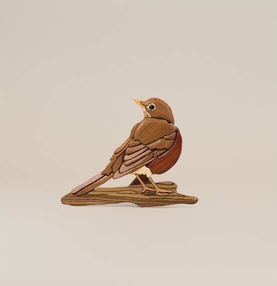 Robin – Kipp Kraft